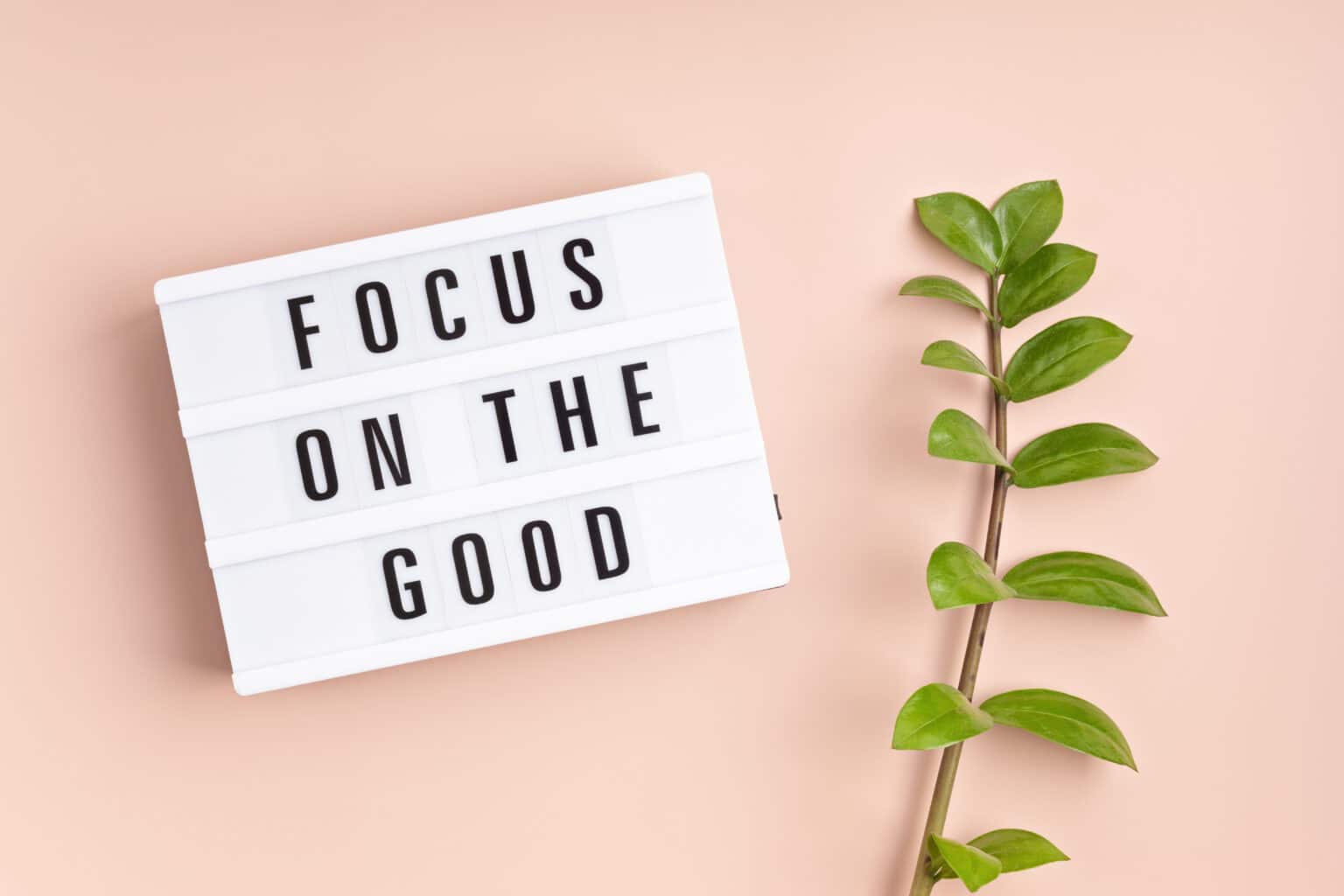 Unveiling the Meaning of Life According to Positive Psychology