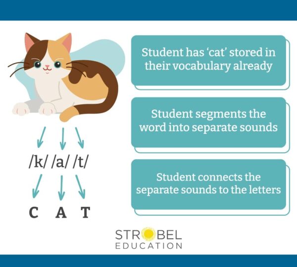 Orthographic Mapping: A Valuable Lesson In Literacy