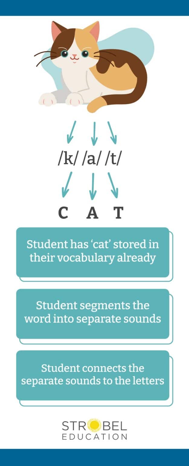 Orthographic Mapping: A Valuable Lesson In Literacy