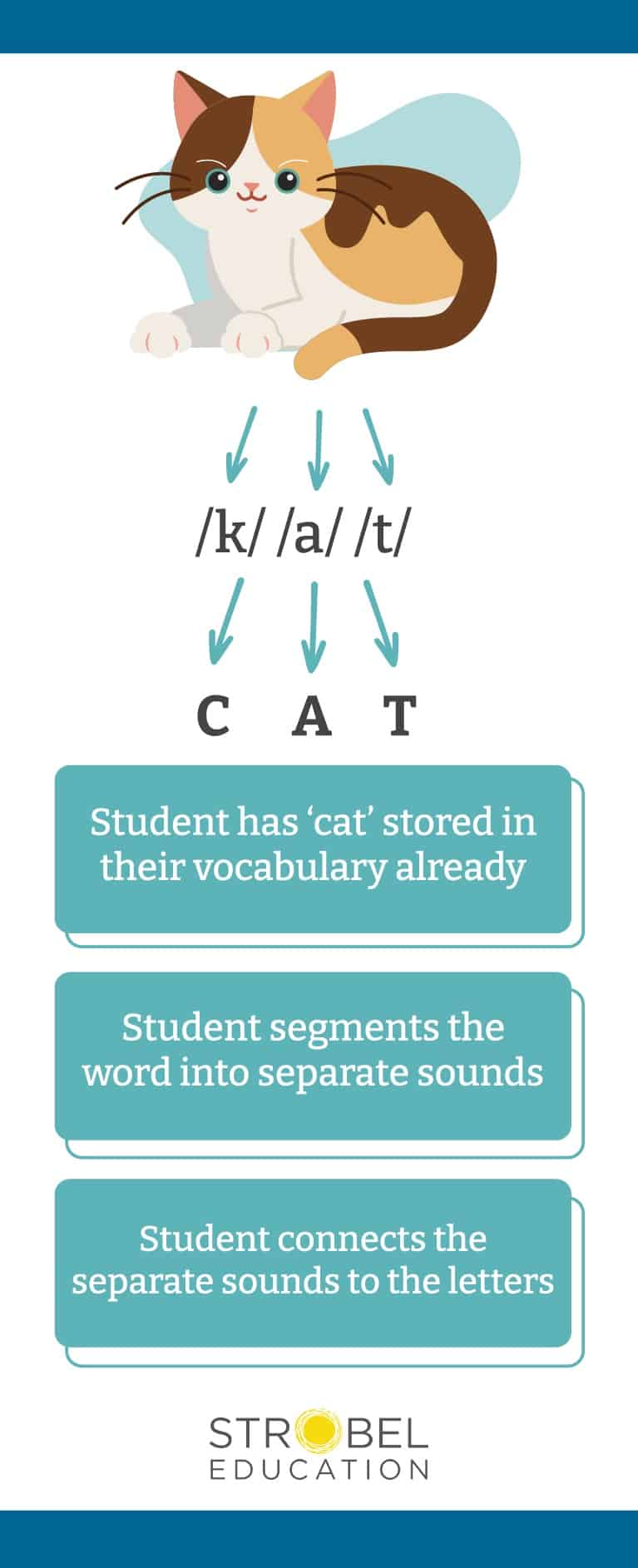 Orthographic Mapping: A Valuable Lesson In Literacy