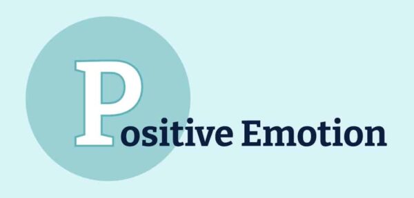 The PERMA Model: Understanding the Science of Happiness